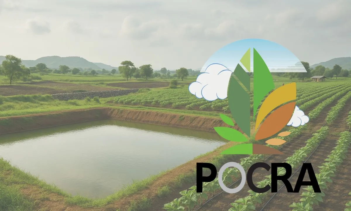 PoCRA योजना म्हणजे काय? (Nanaji Deshmukh Krishi Sanjivani Project ...